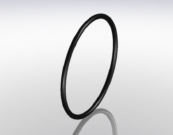 Viton O-Ring ISO-K, Black - Centering Rings etc. - Hositrad Holland B.V